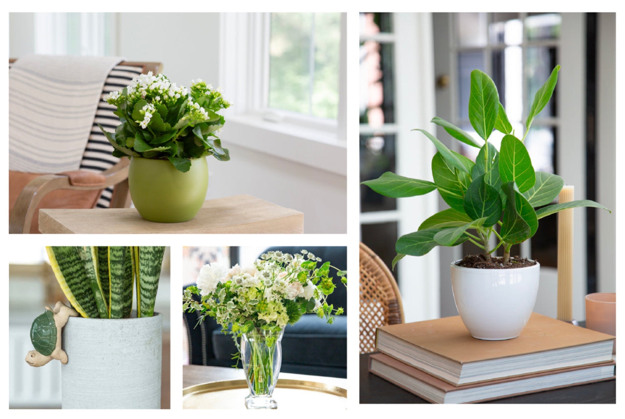 Spring Green – 46 & Spruce | by Syndicate