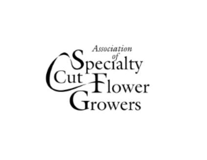 ASCFG Collection – 46 & Spruce | Wholesale Supply House