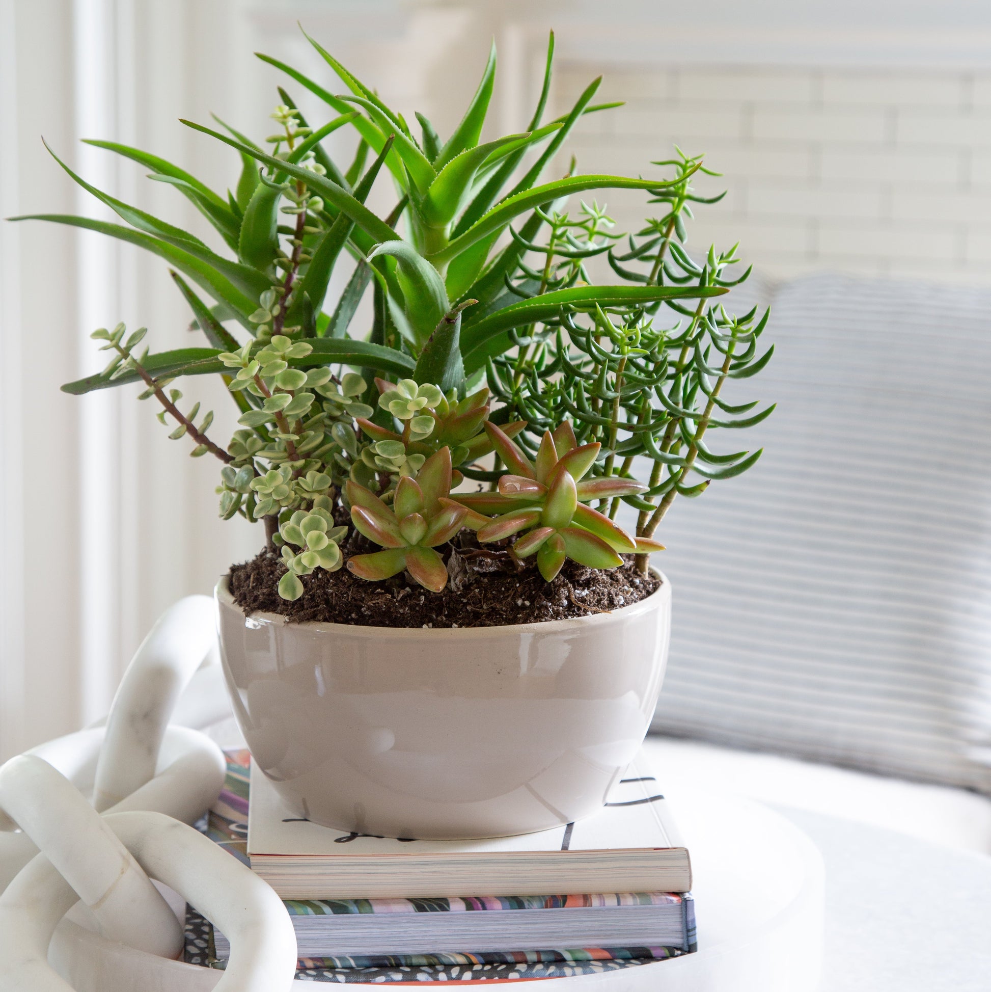 Brentwood Planter | Tennessee Clay – 46 & Spruce | by Syndicate