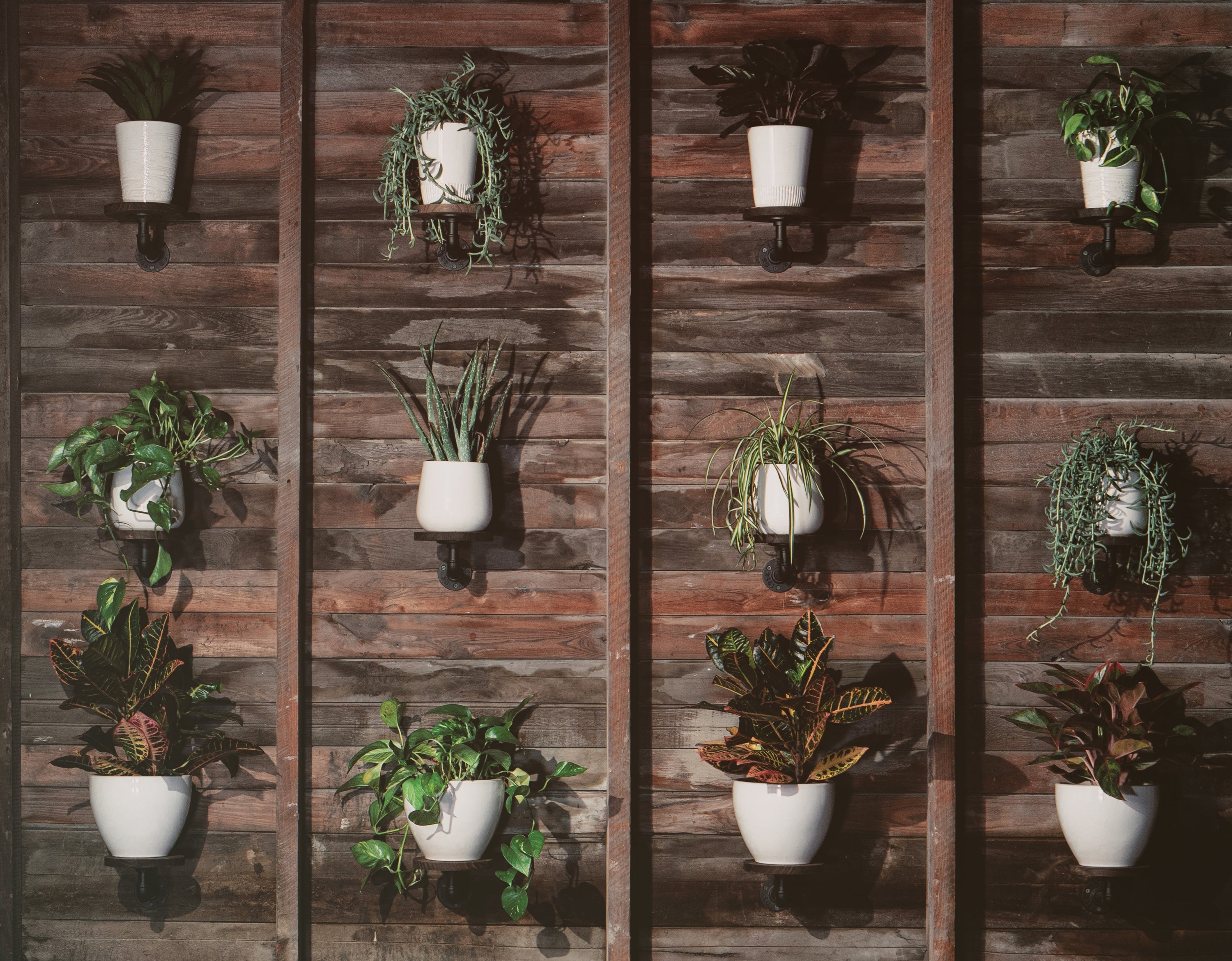 Premium Wholesale Floral Supplies & Decor | 46 & Spruce – 46 & Spruce ...