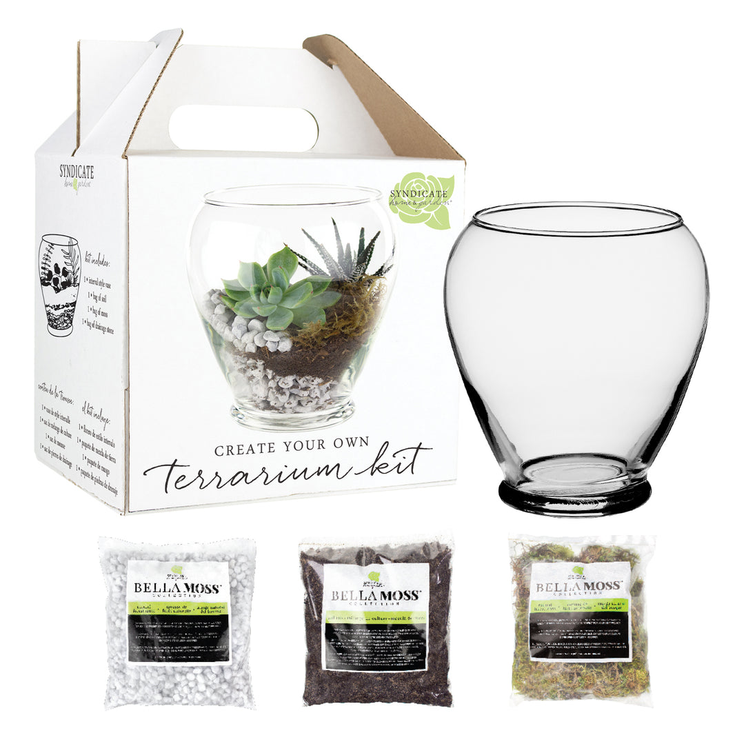 Terrarium Kits – 46 & Spruce | Wholesale Supply House